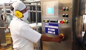 Quiénes Somos – ALIMEC S.A.